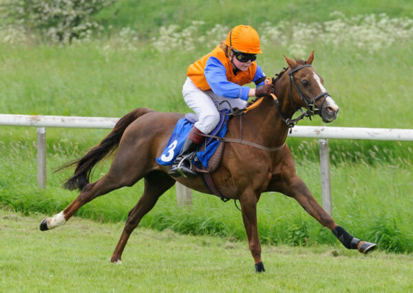 Confirmed Pony Race Entries - Pytchley - Midlands Pointing